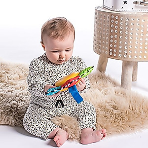 Baby Einstein Star Bright Symphony Plush Musical Take-Along Toy, Ages Newborn + (Pack of 1)