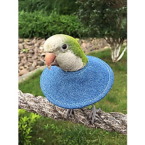 HEZHUO Adjustable Parrot Cone Collar, Safe and Practical Cotton Collar to Prevent Bites and Licking Wounds, to Help heal (XS)