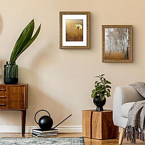 Golden State Art, 11x14 Photo Frame with White Mat for 8x10 Picture & Real Glass for Wall Display - Home or Office Classic Design (Ornate Bronze Gold)