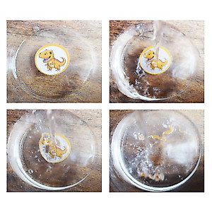 Corner Canyon Products 75 Count Dinosaur Toilet Targets, 2x2 Inch Paper, Green, Indoor Use, Flushable, Biodegradable, Sewage Safe, Potty Training Targets for Boys