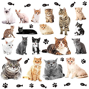 WOYINIS 3D Lovely Kitty Wall Decals Kitten Stickers DIY Removable Fish Cat Paws Wall Stickers Peel and Stick Kitten Wall Decals for Girls Bedroom Playroom Nursery Wall Decor