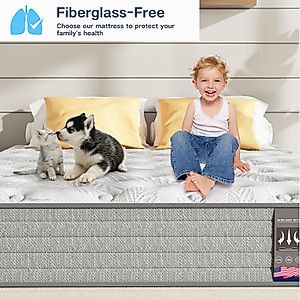 Queen Mattress,12 Inch Hybrid Queen Size Mattress in a Box with Gel Memory Foam,Individually Pocket Springs for Pressure Relief,Motion Isolation,Edge Support,Medium Firm,CertiPUR-US,60"*80"*12"