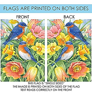 Toland Home Garden 119968 Eastern Bluebirds Spring Flag 12x18 Inch Double Sided Spring Garden Flag for Outdoor House Bird Flag Yard Decoration