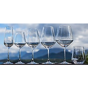 Harmony Wine Glasses by Rastal, 14 ounce, great option for wine, craft beer or water, Set of 6 (Stemless)