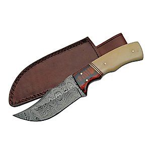 Szco Supplies DM-1078 Damascus Knife with Bone/Cherry Colorwood Handle