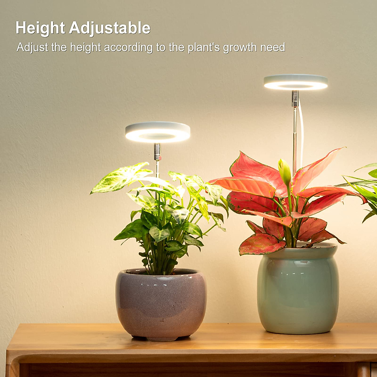 LORDEM Grow Light, Full Spectrum LED Plant light for Indoor Plants, Height Adjustable Growing Lamp with Auto On/Off Timer 4/8/12H, 4 Dimmable Brightness, Ideal for Small Plants