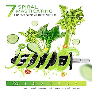 Juicer Machines, Taylor Swoden Slow Masticating Juicer with Reverse Function & Quiet Motor, Cold Press Juicer Machine with High Juice Output, Juicer Extractor Easy to Clean, include Brush & Recipes