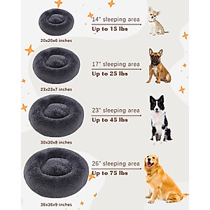 KSIIA Calming Dog Bed Anti-Anxiety Round Donut Dog Beds for Small Dogs Cat Beds for Indoor Cats Fluffy Comfort Small Dog Bed with Ultra-Soft Plush Washable Dog Bed with Non-Skid Bottom, 23", Gray