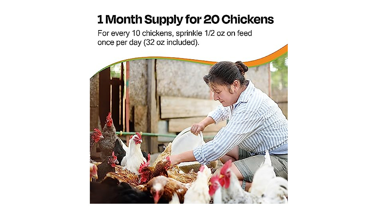 SeaBuck 7 Chicken Supplement: Boost Egg Production & Quality