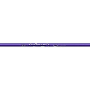 Easton Genesis V2 Shafts (1 Dozen), Purple