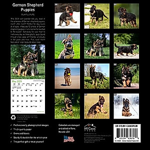 MICASA German Shepherd Puppies 2024 Wall Calendar 12 Month | 12" x 24" Open | Thick & Sturdy Paper | Giftable | Calendar 2024