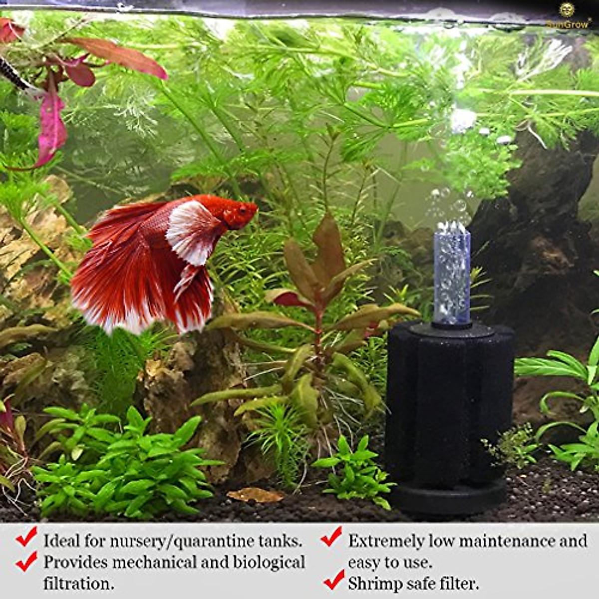 SunGrow 10-Gallon Betta Sponge Filter for Tropical Fish