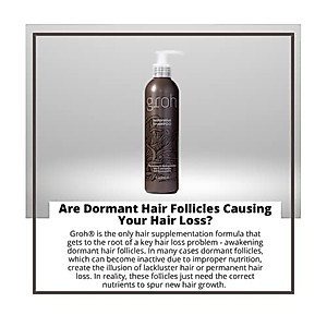 Groh Restorative Shampoo, 8oz.