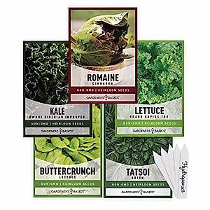 Hydroponic Seeds for Planting Planting Indoors and Outdoor 5 Variety Pack - Tatsoi, Kale, Buttercrunch, Romaine and Loose Leaf Lettuce Seeds by Gardeners Basics