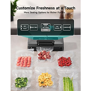 HiCOZY Vacuum Sealer, Full Automatic Vacuum Sealer Machine for Food, Handle Locked Design, Build-in Cutter, Compact Design Food Sealer With All Starter Kits, 5 Modes and 5-Year Quality Commitment