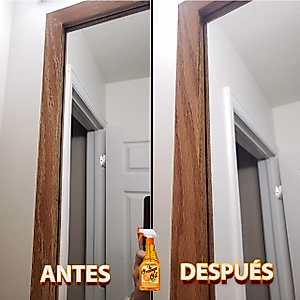 Howard Products ORS016 Orange Oil Wood Polish, 16 oz