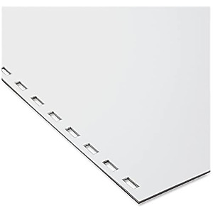GBC CombBind Prepunched Paper, Binding, 8.5 x 11 Inches, White, 500 Sheets per Pack (2020046)