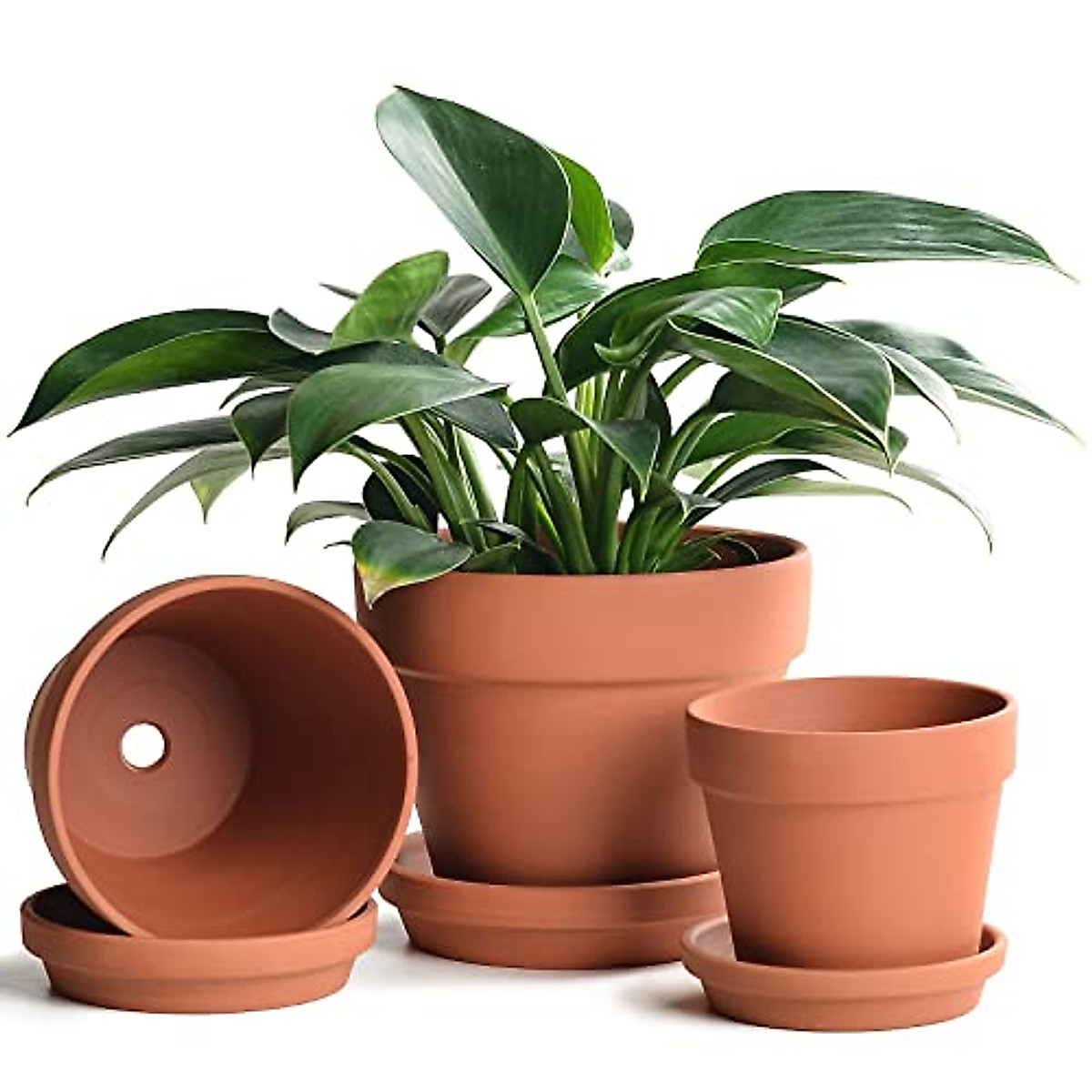 INGOFIN Terracotta Pots Set with Saucer - 5/6/7 inch Ceramic Clay Planters with Drainage Hole, Garden Flower Succulent Pots with Tray for Indoor Outdoor Plants, Set of 3