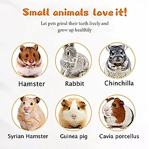 antiai Guinea Pig Toys Apple Sticks Timothy Hay Sticks 2 Combination, Rabbit Toy Bunny Treats Natural Hamster Chinchilla Rat Gerbil Chew Toys for Teeth Care