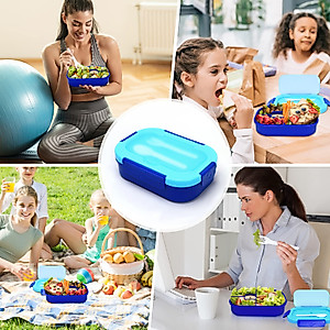 Lunch Box Kids, Bento Lunch Box for Kids Adult, Lunch Box Containers for Girls Boys Teen, 1300ML 4 Compartment Bento Box w/ Food Picks Cake Cups, Microwave/Dishwasher/Freezer Safe, BPA Free, Blue