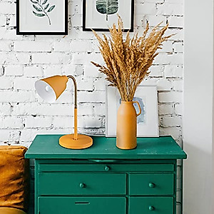 Novogratz x Globe 56083 16" Desk Lamp, Matte Orange, Adjustable Brass Gooseneck, in-Line On/Off Rocker Switch, Home Office Accessories, Desk Lamps for Home Office, Home Décor, Adjustable Lamp