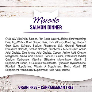 Wellness Natural Pet Food Wellness Complete Health Natural Grain Free Wet Canned Cat Food, Cubed Salmon Entree, 3-Ounce Can (Pack of 24)