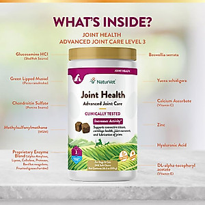 NaturVet Joint Health Level 3 Dog Soft Chew, 15.2 oz., Count of 240, 240 CT