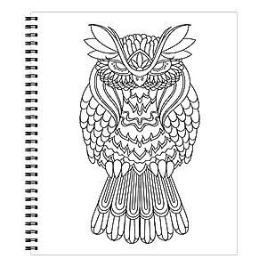 Large Print Easy Color & Frame - Birds (Stress Free Coloring Book)