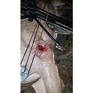 Fire-N-The-Hole Chisel Tip Ring Broadhead Compound Bow 100 Grain 3 Pack