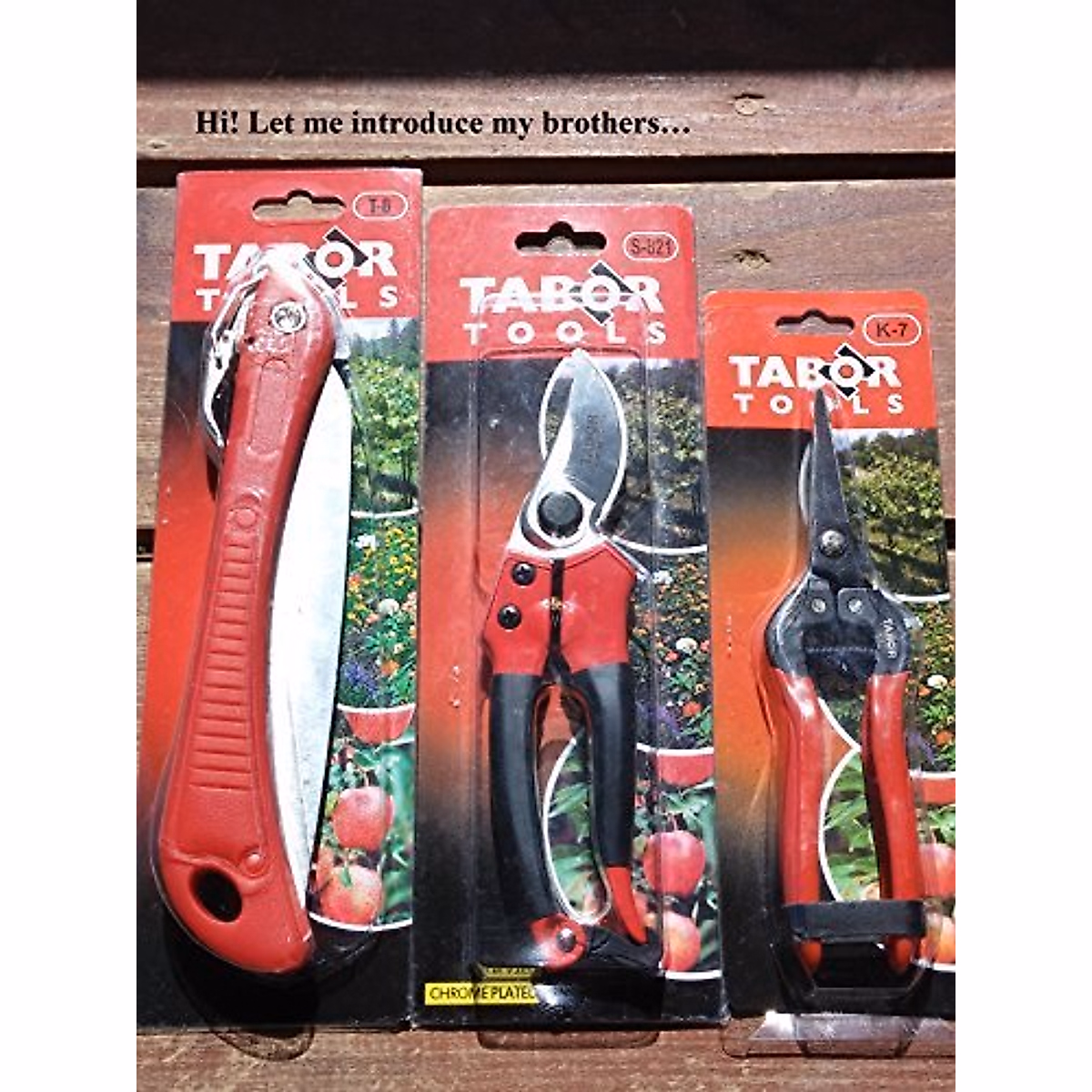 TABOR TOOLS K77A Straight Pruning Shears with Stainless Steel Blades, Florist Scissors, Multi-Tasking Garden Snips for Arranging Flowers, Trimming Plants, Harvesting Herbs, Fruits or Vegetables.