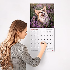 RED EMBER Corgis 2024 Wall Calendar 12 Month | 12" x 24" Open | Thick & Sturdy Paper | Giftable | Calendar 2024