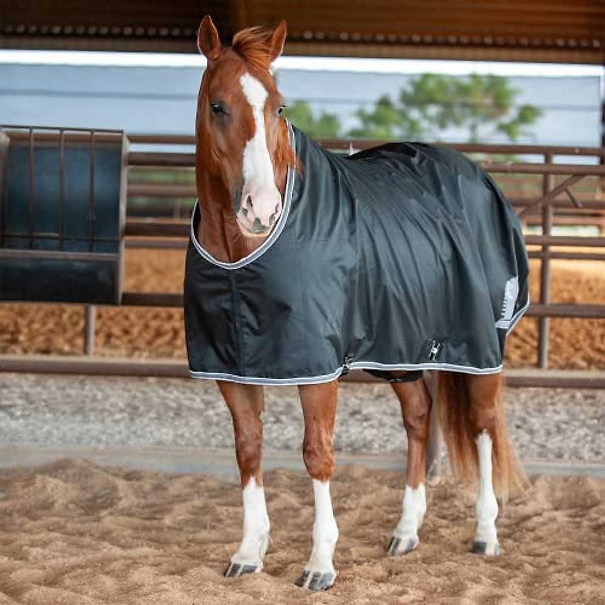 Classic Equine Classic Stable Sheet with Closed Front, Black, Small
