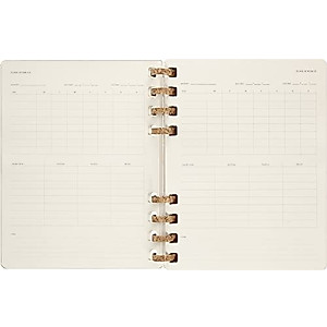 Moleskine Spiral 12 Month 2023 Academic Year Planner, Hard Cover, XL (7.5" x 9.75"), Oyster