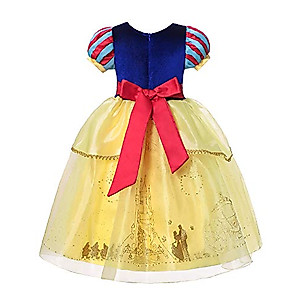 Romy's Collection Girls Princess Costume Cosplay Dress Up for Toddler Girls (5-6, Snow Blue)
