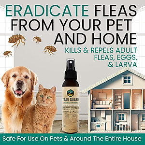 Trail Guard Natural Extra Stregth Insect, Flea and Tick Spray for Dogs, Cats, People & Home - 4oz Plant-Based Insect & Tick Repellent for Dogs - Kid Safe - DEET Free - Flea and Tick Prevention