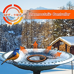 lollyes 250W Bird Bath Heater, Heated Bird Baths for Outdoor in Winter, Bird Bath De-icer with Thermostatically Controlled and 3.3Ft Cord, with Auto Shut Off Function, Ideal Gift for Birds