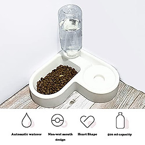 Double Dog Cat Bowls - Pets Water and Food Bowl Set with Automatic Water Bottle, Raised Pet Feeder Bowl for Cats and Small Dogs