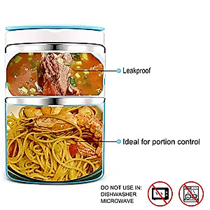 Lille Home Vacuum Insulated Stackable Stainless Steel Thermal Lunch/Snack box, 2-Tier Bento/Food Container with Lunch bag, Smart Diet, Weight Control, 32 Ounces, Blue