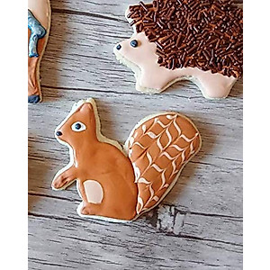 Squirrel Cookie Cutter 3.75" Made in USA by Ann Clark