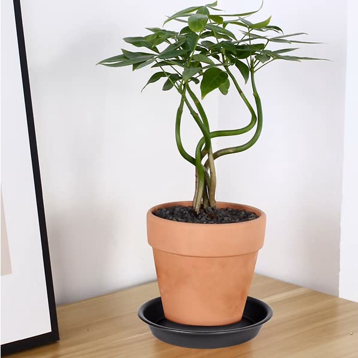 Bleuhome 6 Pack Plant Saucer Tray, 4 6 8 10 12 13 15 17 19 inch Plant Saucers, Heavy Duty Plastic Plant Saucers for Indoors, Bird Bath Bowls, Flower Plant Water Trays for pots Planter (6", Black)