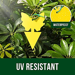 Garsum Gant Traps for Indoors,Fruit Fly Bugs Trap, Yellow Sticky Fungus Knit Killer for Houseplant,Mosquito, Flying Insert, White Flies,18 Pack