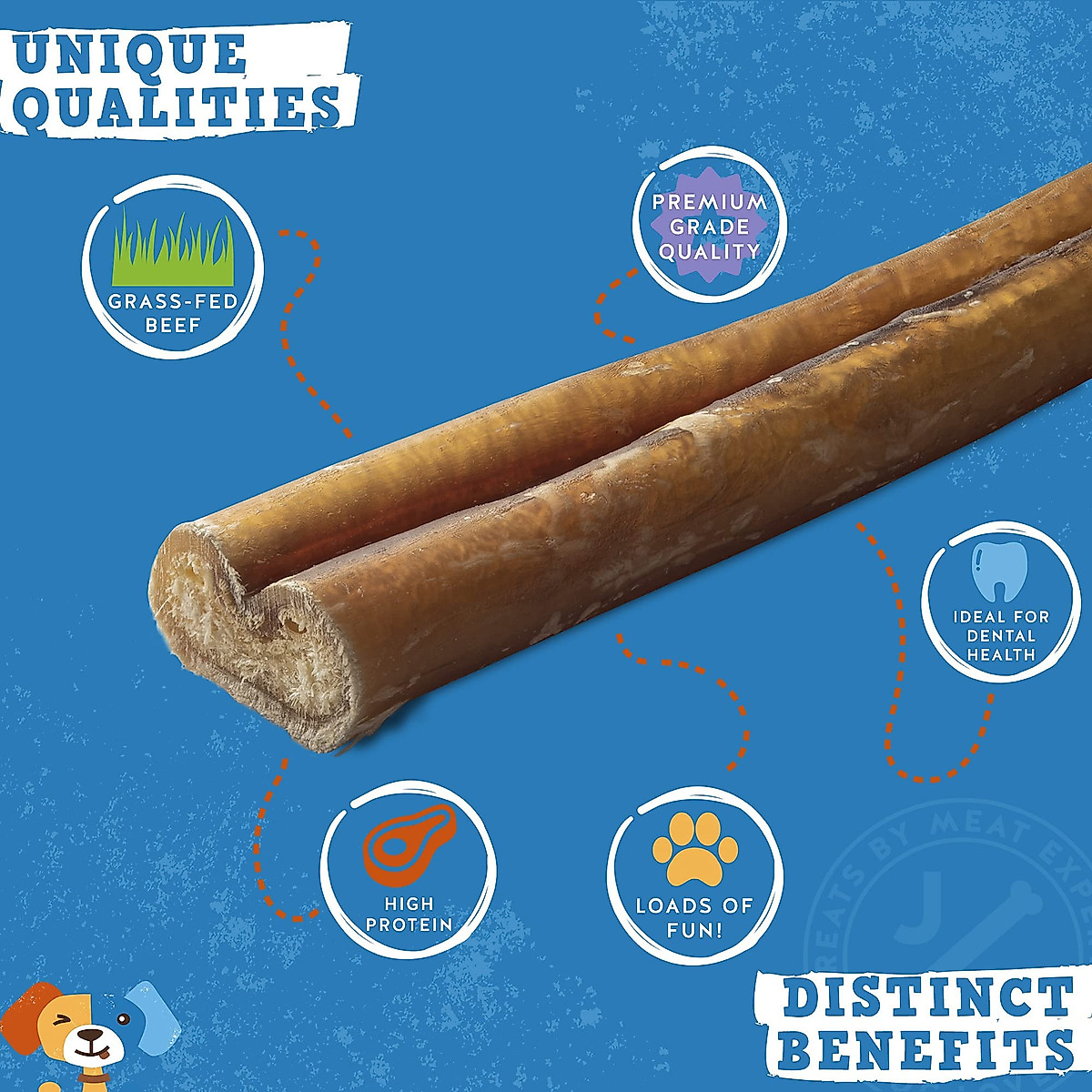 Jack&Pup Bundle - Bully Sticks + Pro-Digest Supplements | 6-Inch Odor Free [Thick Size] Bully Sticks (5 Pack) | Pro-Digest Probiotics for Dogs (60 Chews)