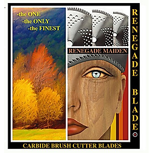 1 Blade 10"-80t -- Renegade "Razor" / Hybrid -- Combo Specialty -- RENEGADE BLADE® - Carbide Brush Cutter Weed Eater Blades, 254mm