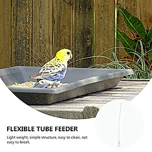 balacoo 5pcs Pet Medicine Feeder Reuseable Plastic Baby Parrot Tablet Dispenser Young Birds Milk Feeding Tube for Small Animals Young Cockatiel Budgie Birds Transparent