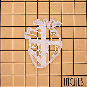 Anatomical Heart cookie cutter, 1 piece - Bakerlogy