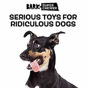 Barkbox Scented Food Themed Dog Toys & Chews, Tough Rubber & Nylon Super Chewer Treat Dispensing Puzzle Toys, Balls, & Teething Toys for Small, Medium, & Large Dogs & Puppies, Turkey Day Drumstick