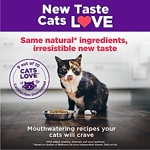 Wellness Complete Health Natural Dry Cat Food with Wholesome Grains, Made in USA with Real Meat (Adult, Salmon & Salmon Meal Recipe, 5-Pound Bag)