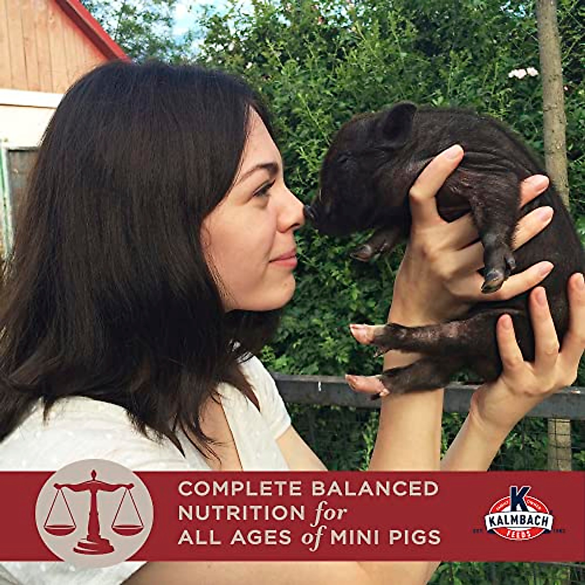 Kalmbach Feeds Squeals of Joy Mini Pig Food, 25 lb