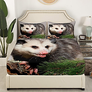 Opossum Bed Sheets Twin Size Possum Fitted Sheet for Kids Boys Girls Teens Adults Opossum Lovers Gift Bed Sheet Set Funny Animal Botanical Leaves Bedding Sheets Bedroom Decor Flat Sheets 3Pcs