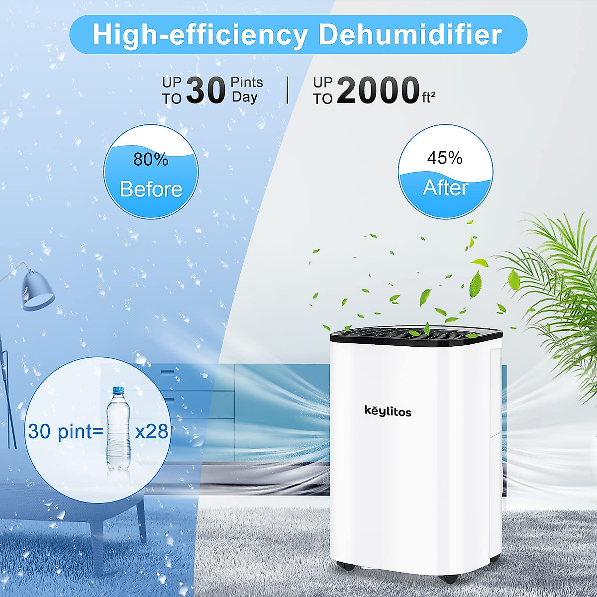 Keylitos 12L Day Dehumidifiers for Home and Basements,Quiet Dehumidifier with Drain Hose, with Digital Humidity Display, Auto or Manual Drainage for Large Room, Garage, Bedroom, Bathroom